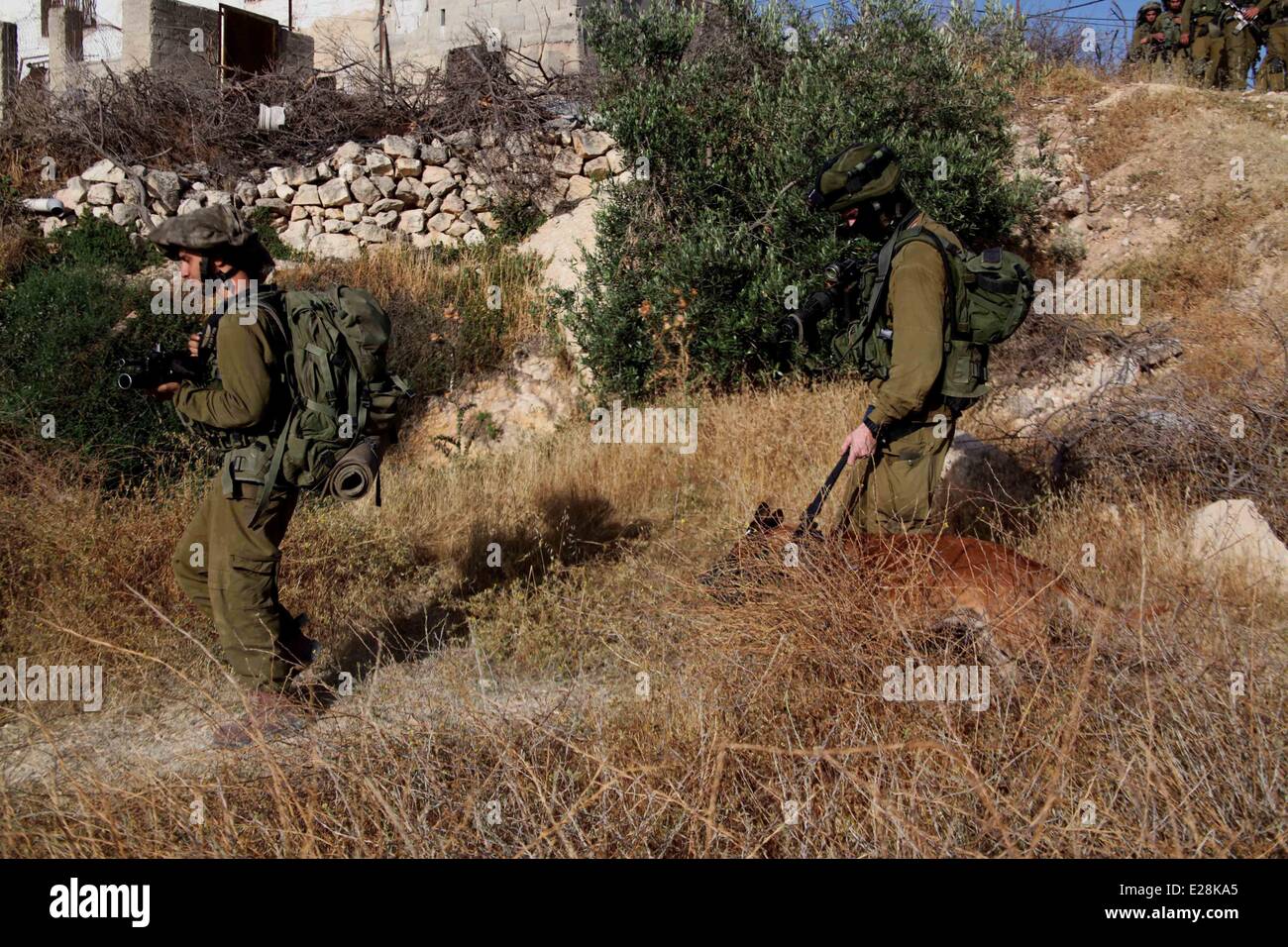 Israeli army dog hi-res stock photography and images - Alamy