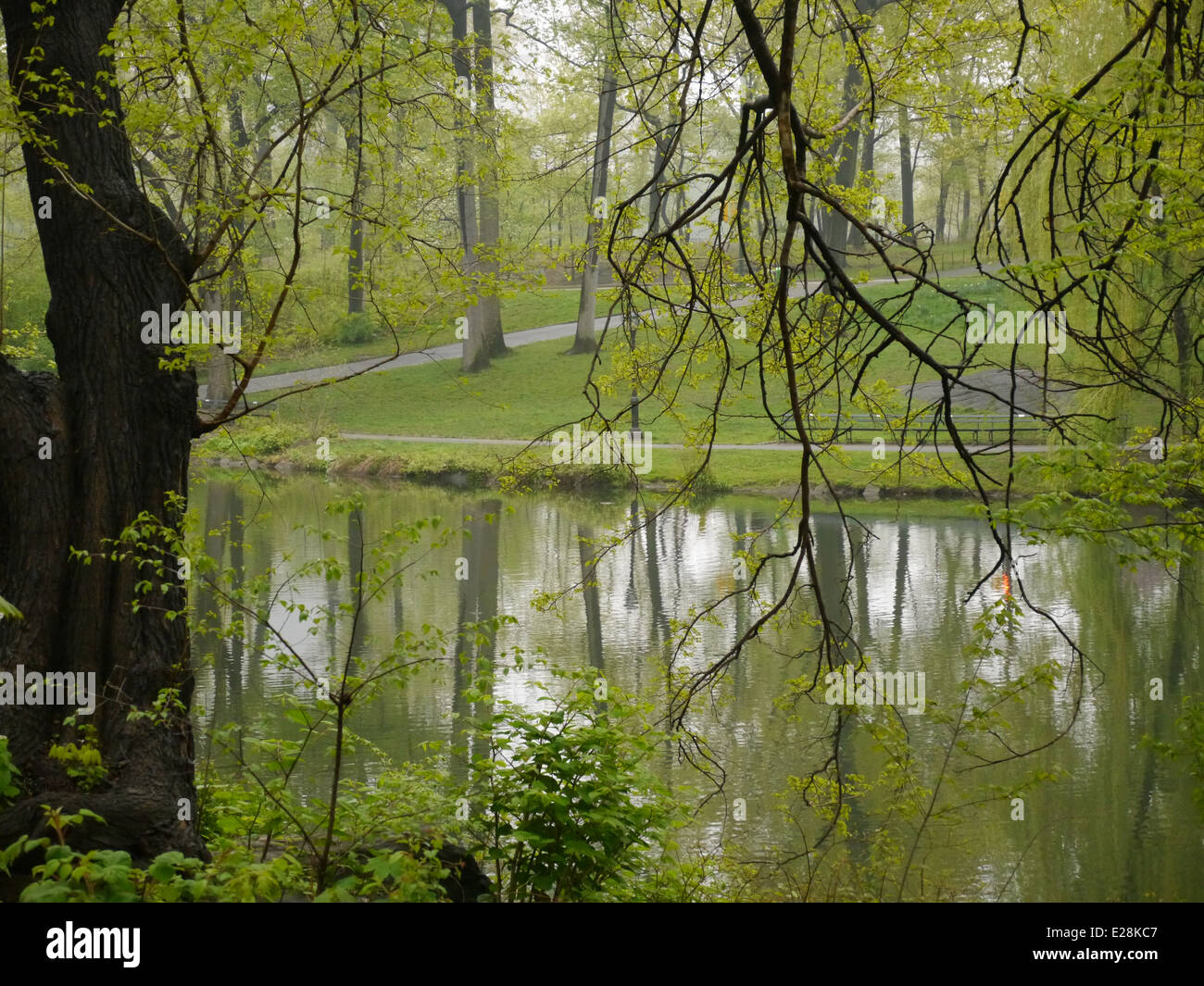 Mist trees reflection hi-res stock photography and images - Alamy