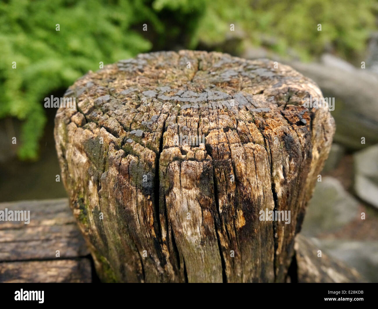 An old worn tree stump fence post Stock Photo - Alamy