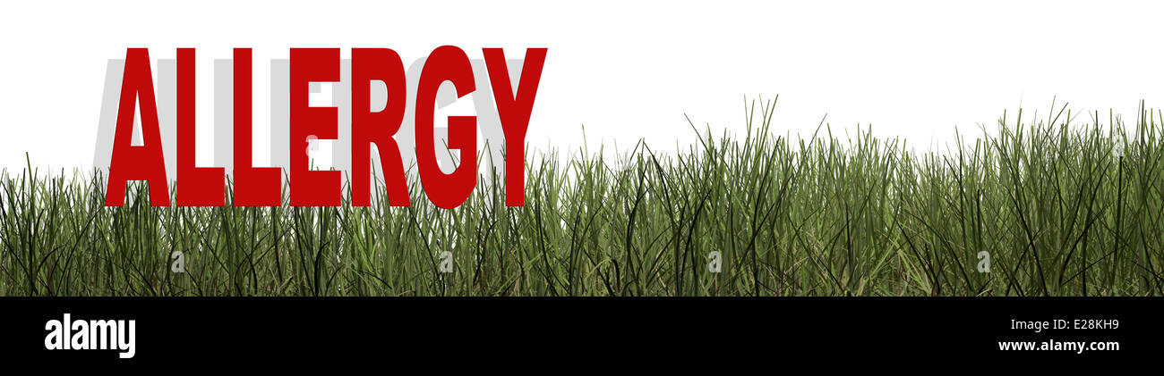 word ALLERGY writing on white background with grass made in 3d software ...