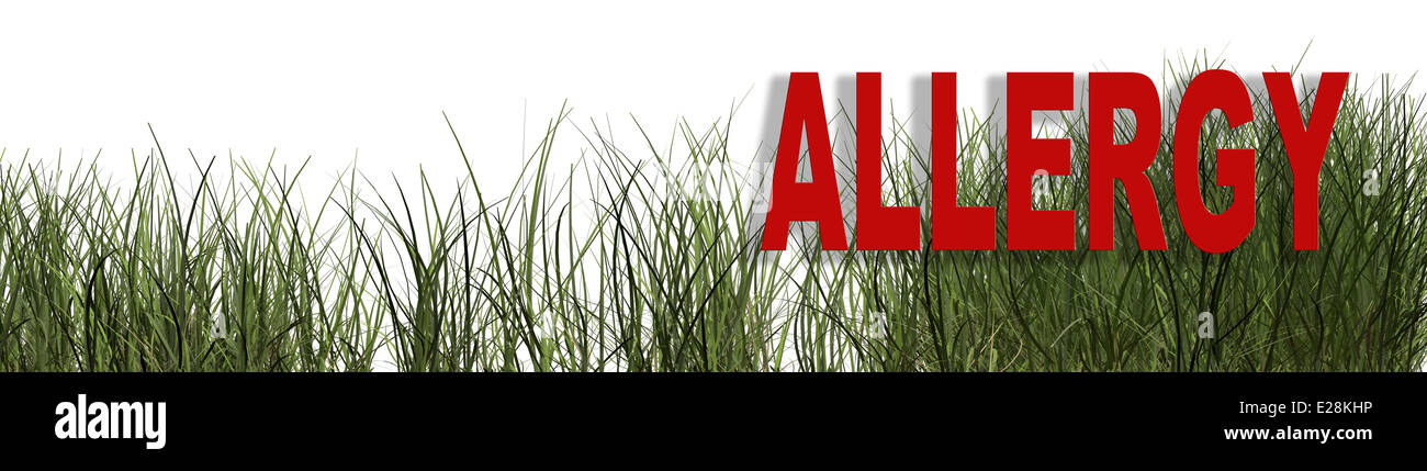 word ALLERGY writing on white background with grass made in 3d software ...