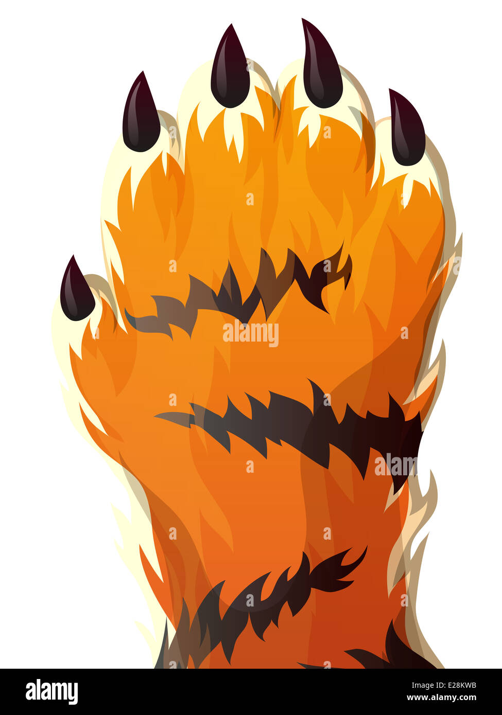 Tiger paw raises index finger upwards Stock Photo - Alamy