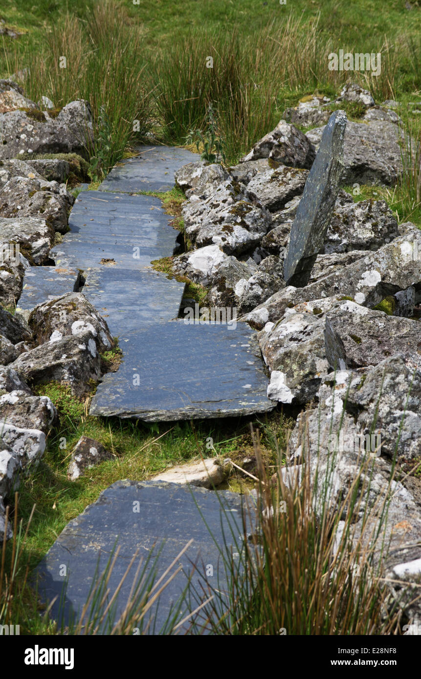 Slate pathway hi-res stock photography and images - Alamy