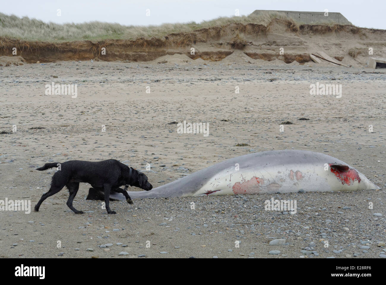 Porth neigwl storm hi-res stock photography and images - Alamy