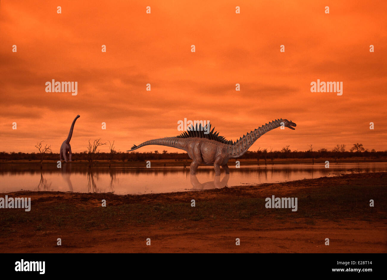 Brachiosaurus dinosaurier hi-res stock photography and images - Alamy