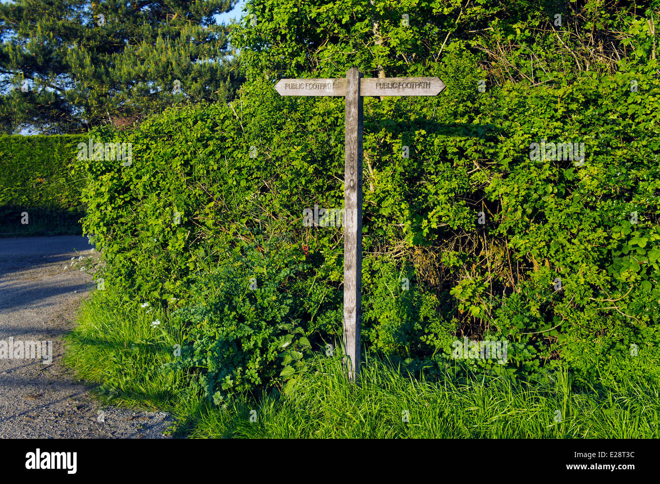 'Public Footpath' sign, hedge, hedgerow, in area of Woolfly Wood ...