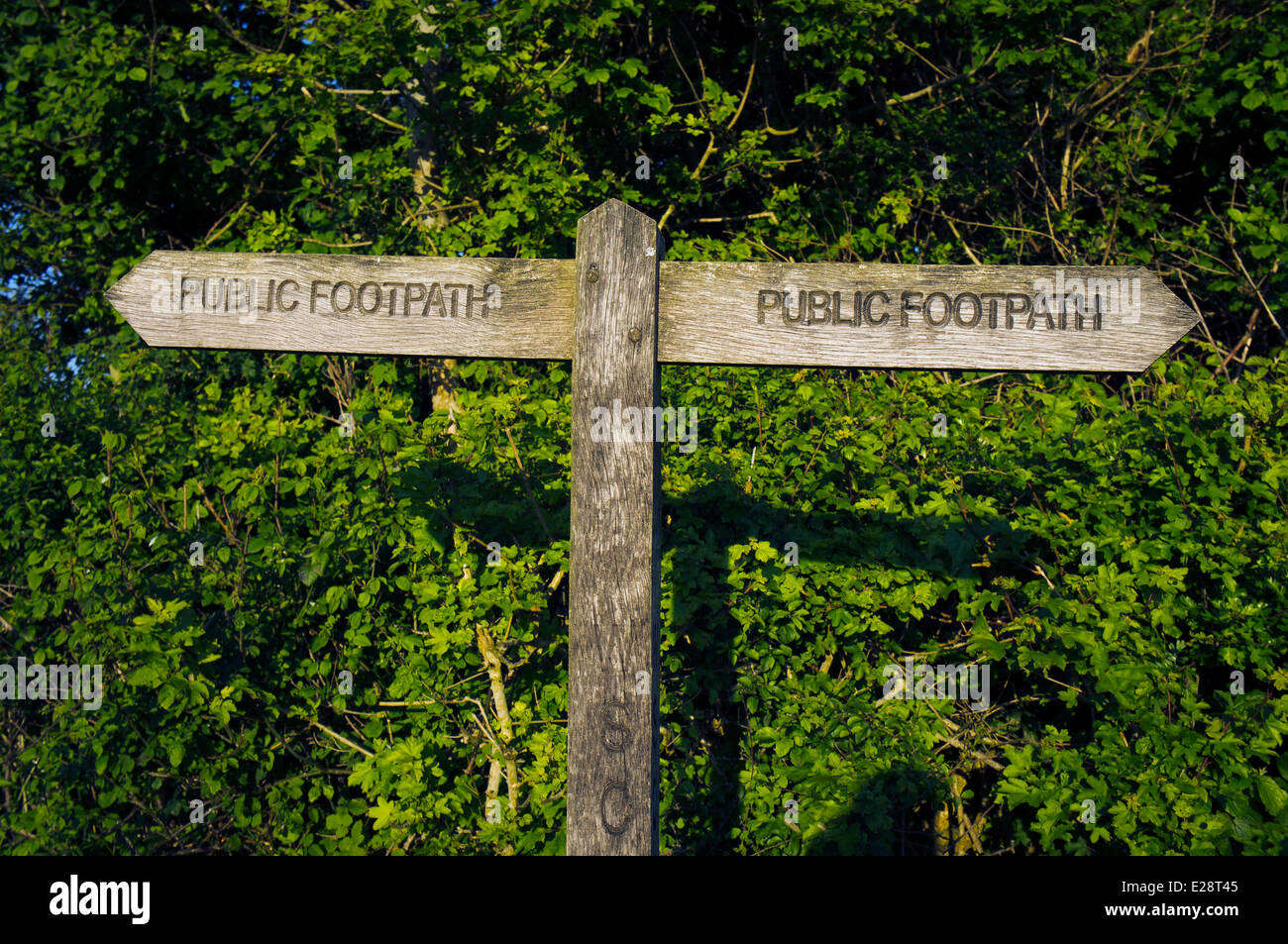 'Public Footpath' sign, hedge, hedgerow, in area of Woolfly Wood ...