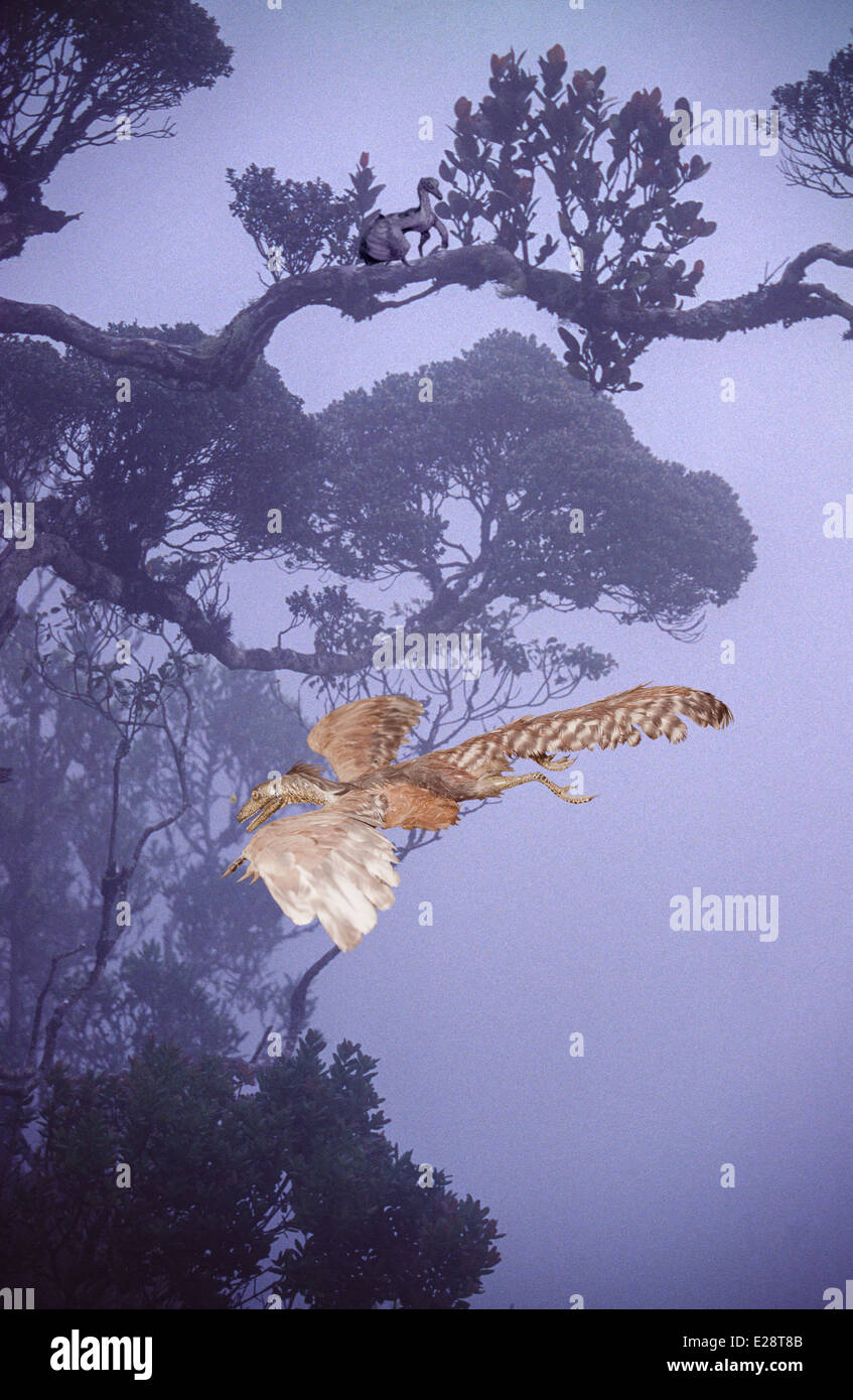 Ornithodira hi-res stock photography and images - Alamy