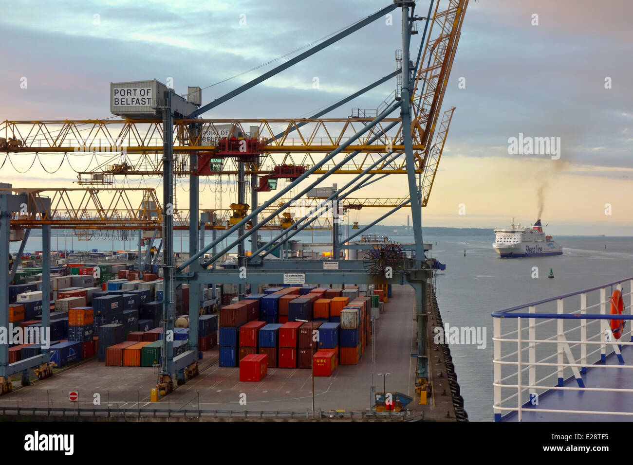 Port of Belfast container terminal with cranes Stock Photo - Alamy