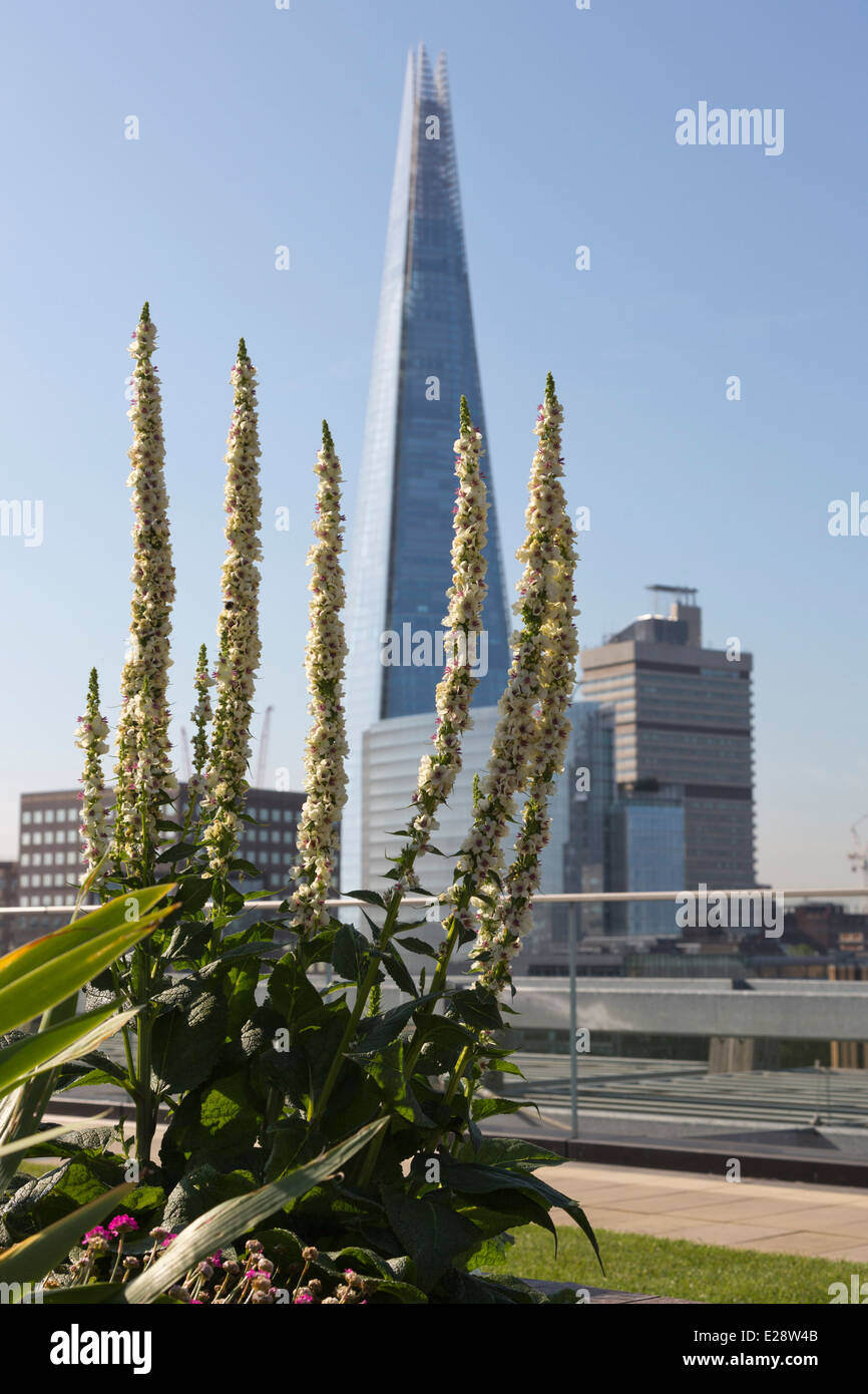 The roof gardens of Nomura's London offices open to the public for the ...