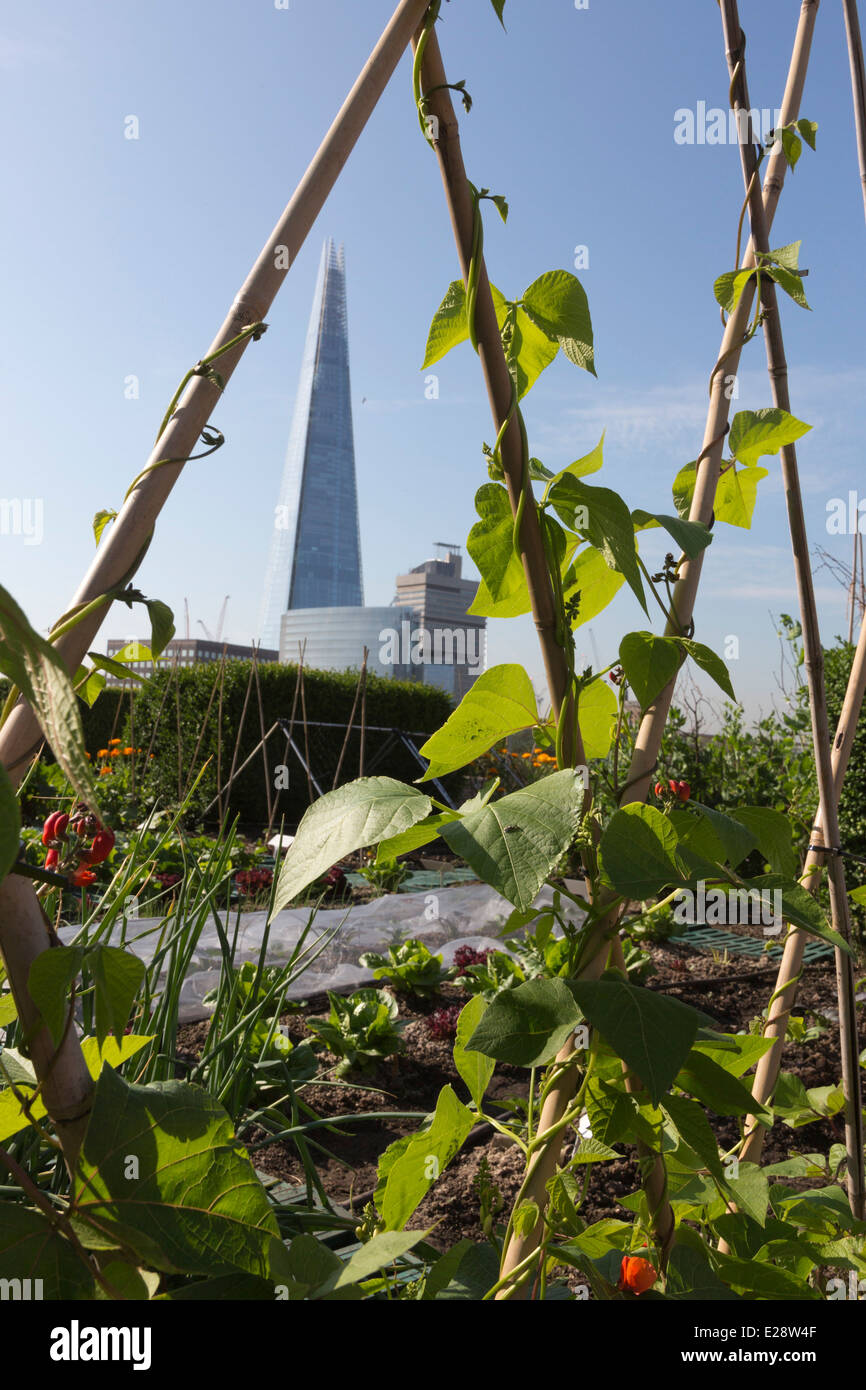 The roof gardens of Nomura's London offices open to the public for the ...