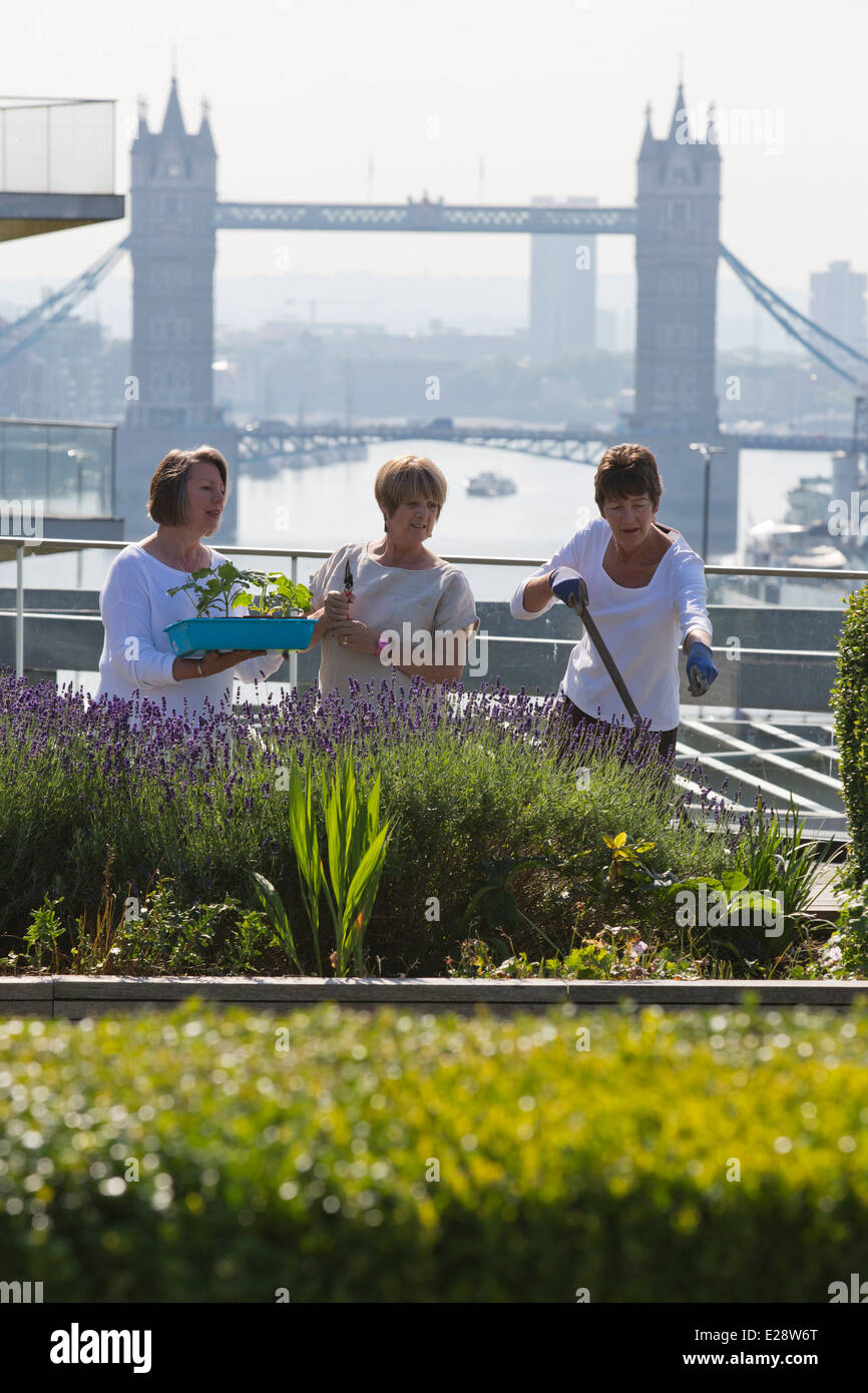 Rooftop garden nomura london hi-res stock photography and images - Alamy
