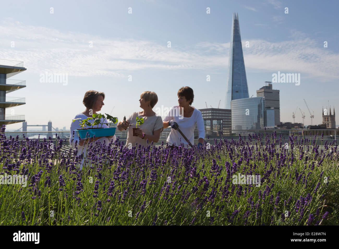 The roof gardens of Nomura's London offices open to the public for the ...