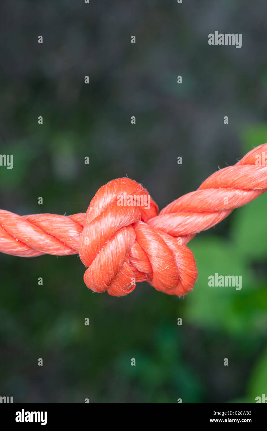 rope with a node, close up Stock Photo - Alamy