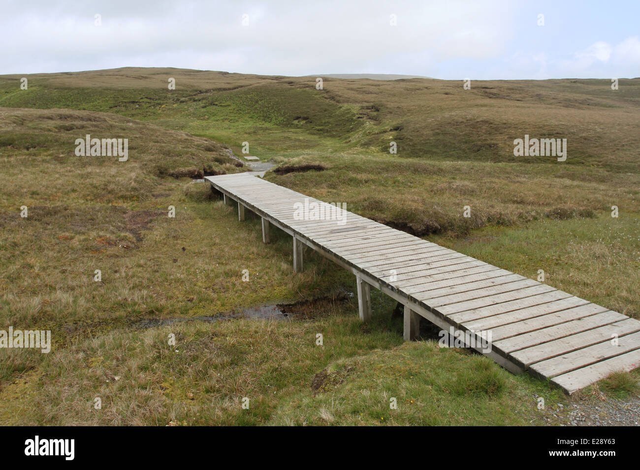 Walking path Hermaness National Nature Reserve Unst Shetland Scotland ...