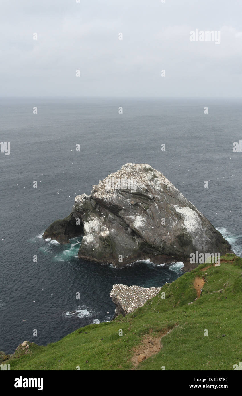 Humla hi-res stock photography and images - Alamy