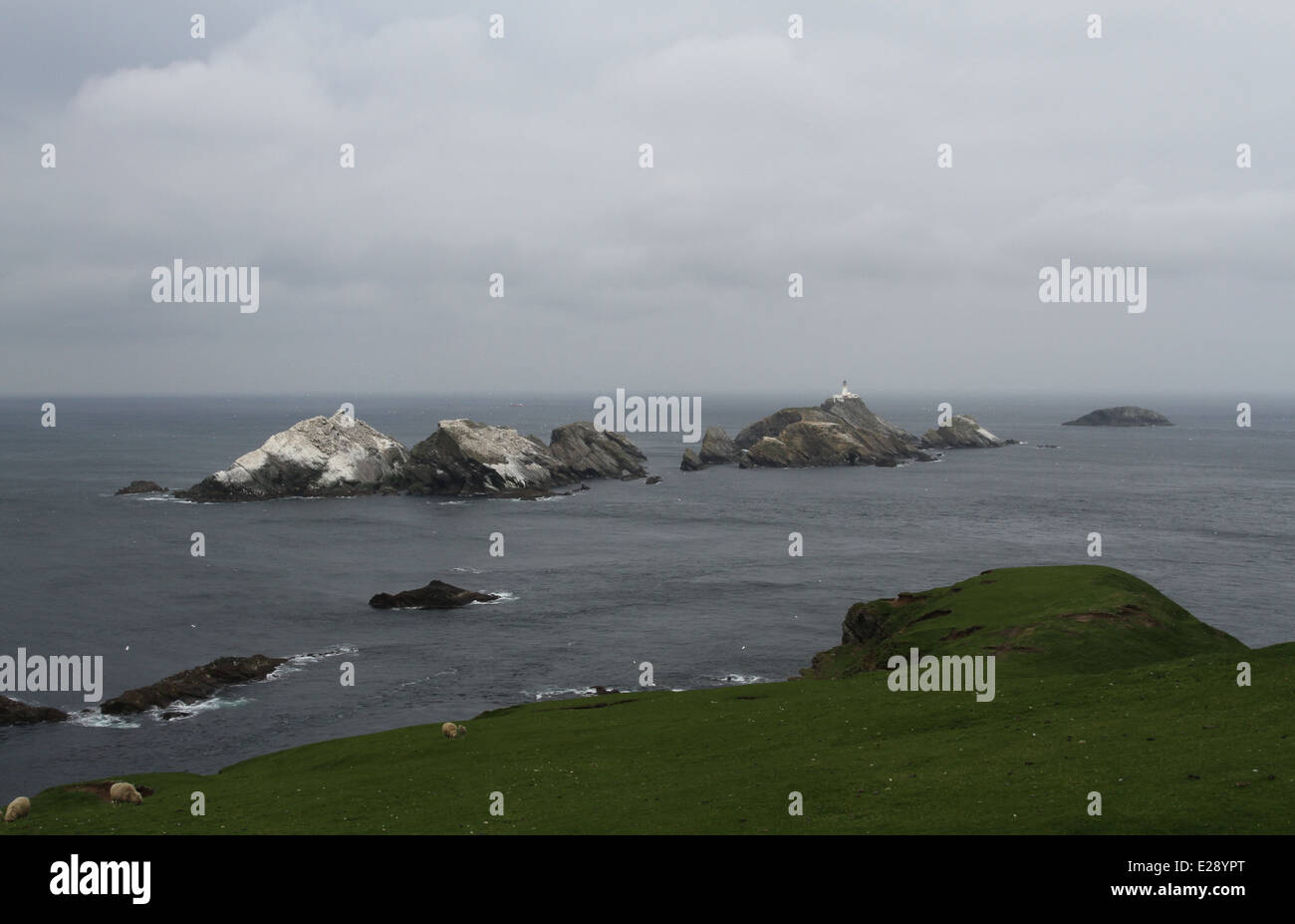 Muckle Flugga lighthouse Unst Shetland Scotland June 2014 Stock Photo ...