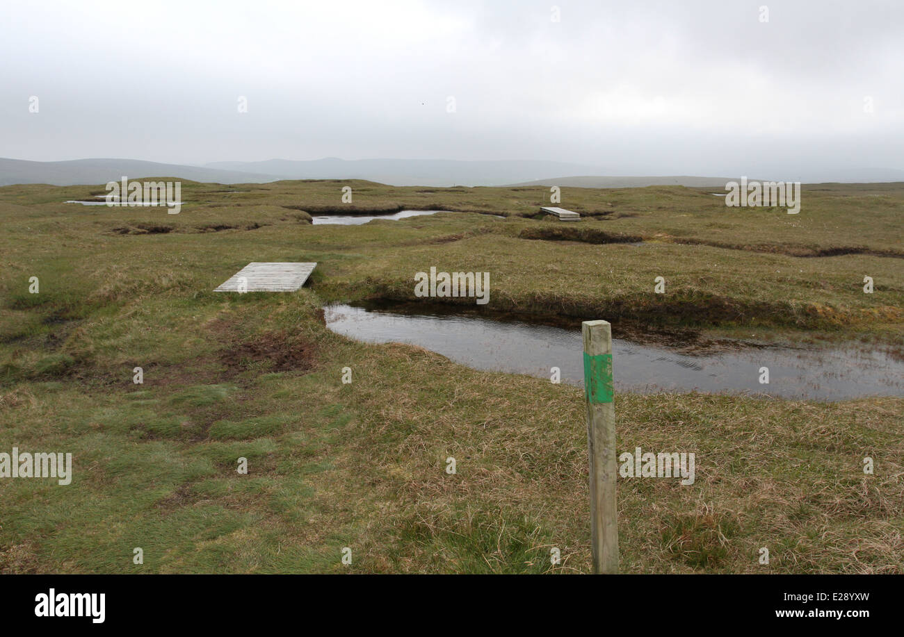 Walking path Hermaness National Nature Reserve Unst Shetland Scotland ...