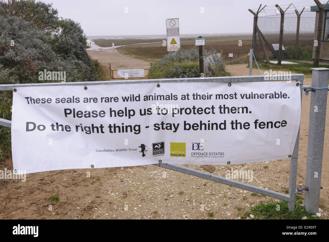 Stay behind fences hi-res stock photography and images - Alamy