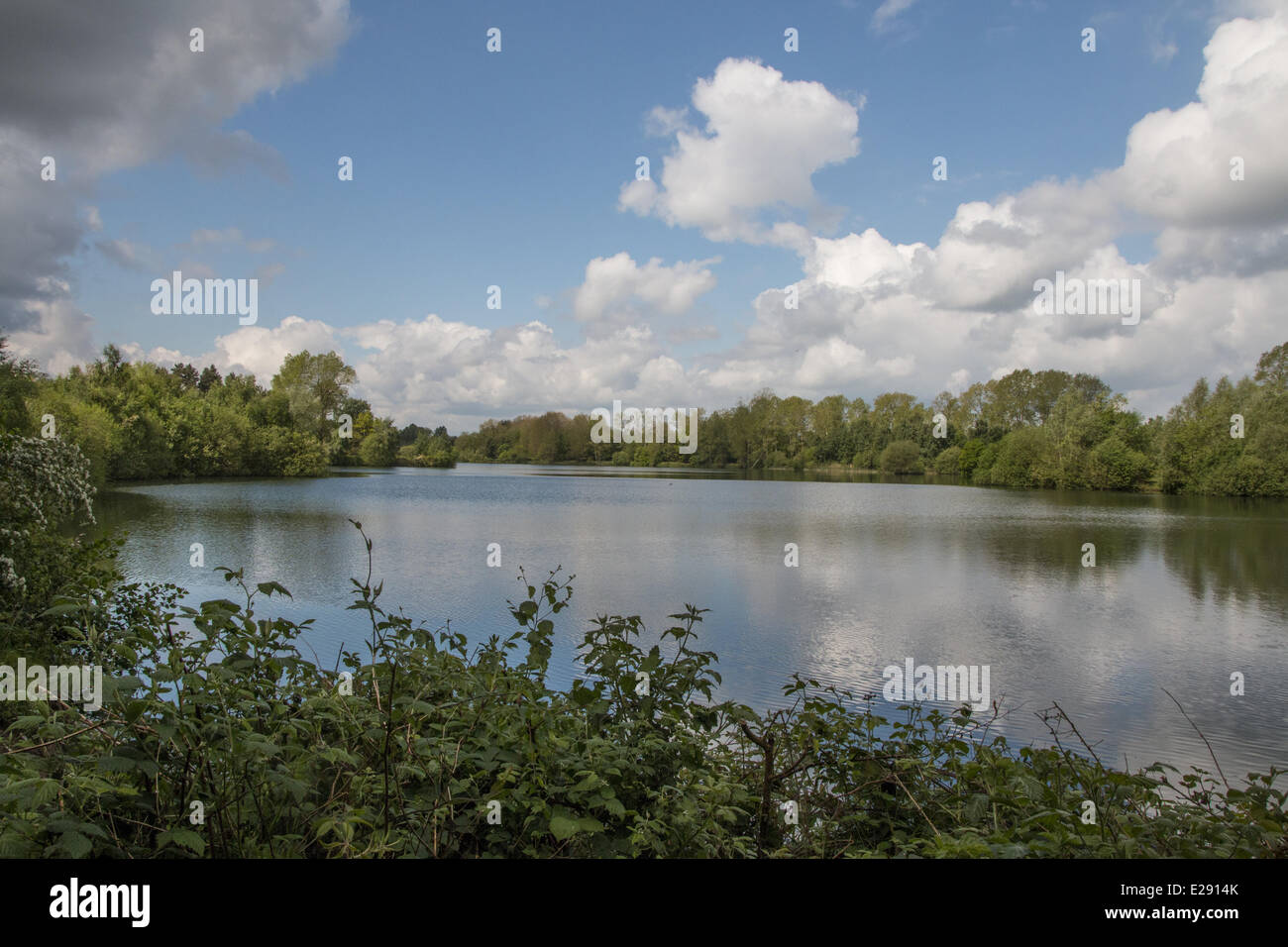 Lynford arboretum hi-res stock photography and images - Alamy
