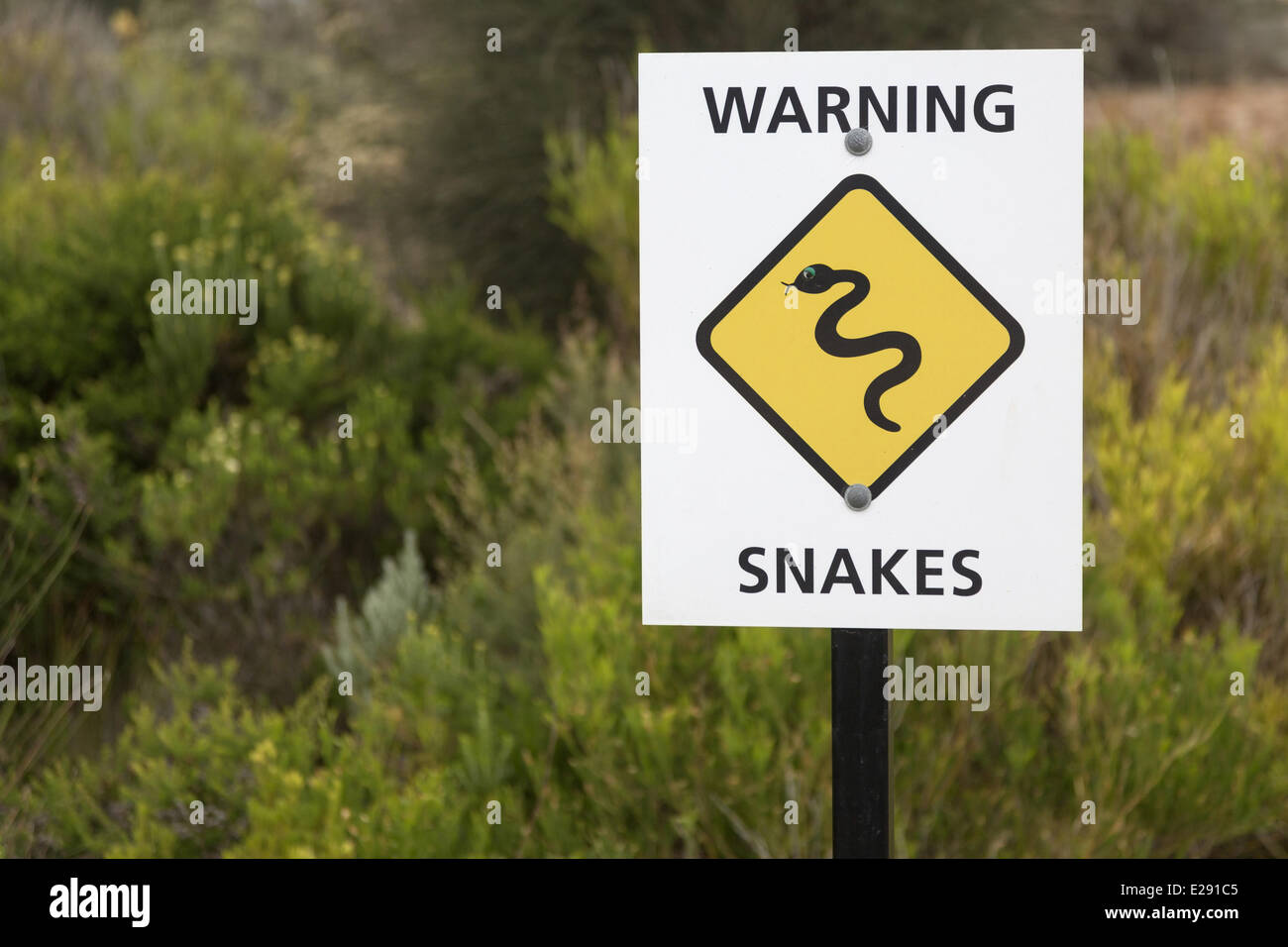 'Warning, Snakes' sign, Great Ocean Road, Victoria, Australia, February ...