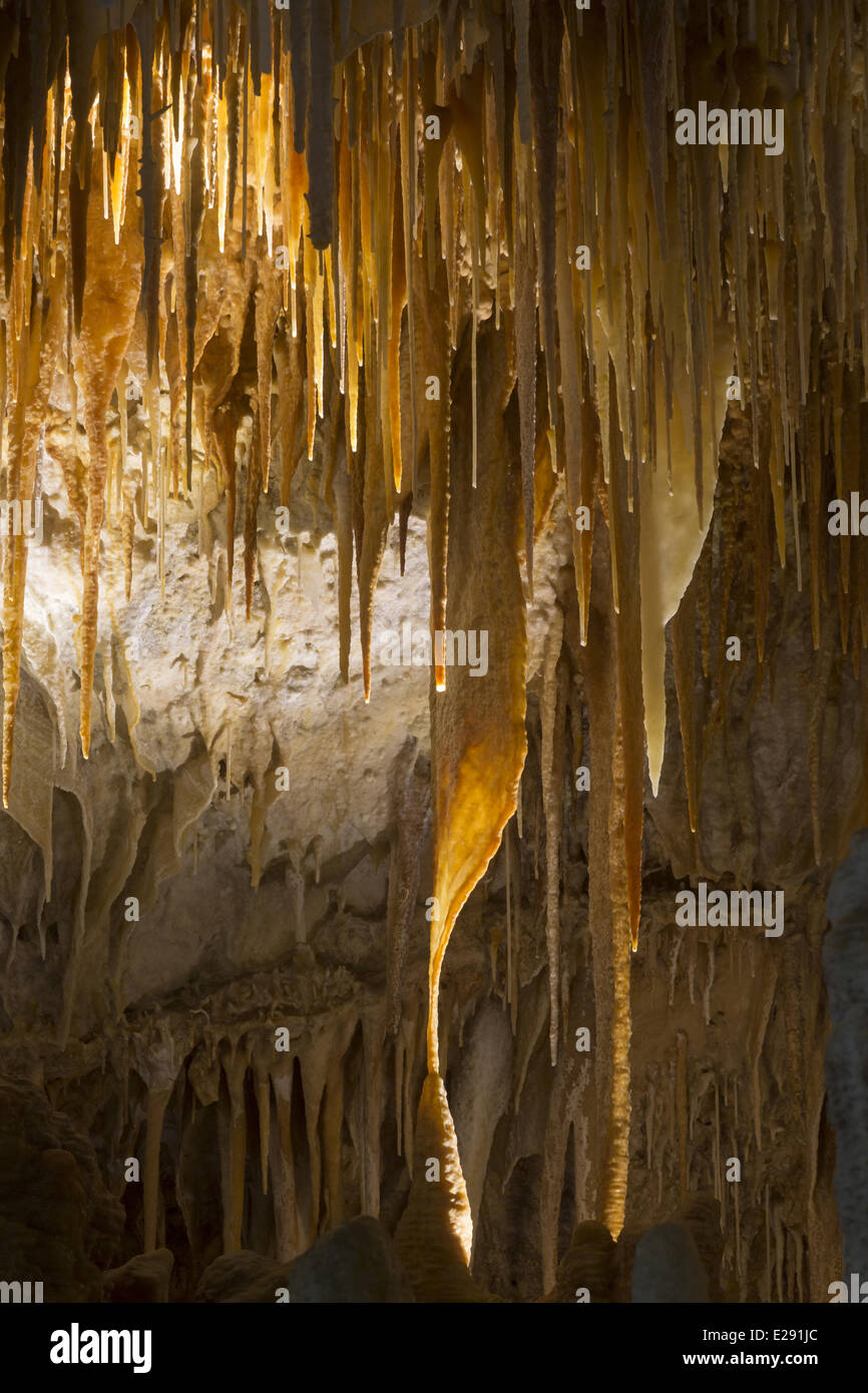 Stalactites in limestone cave, Kelly Hill Caves, Kangaroo Island, South ...