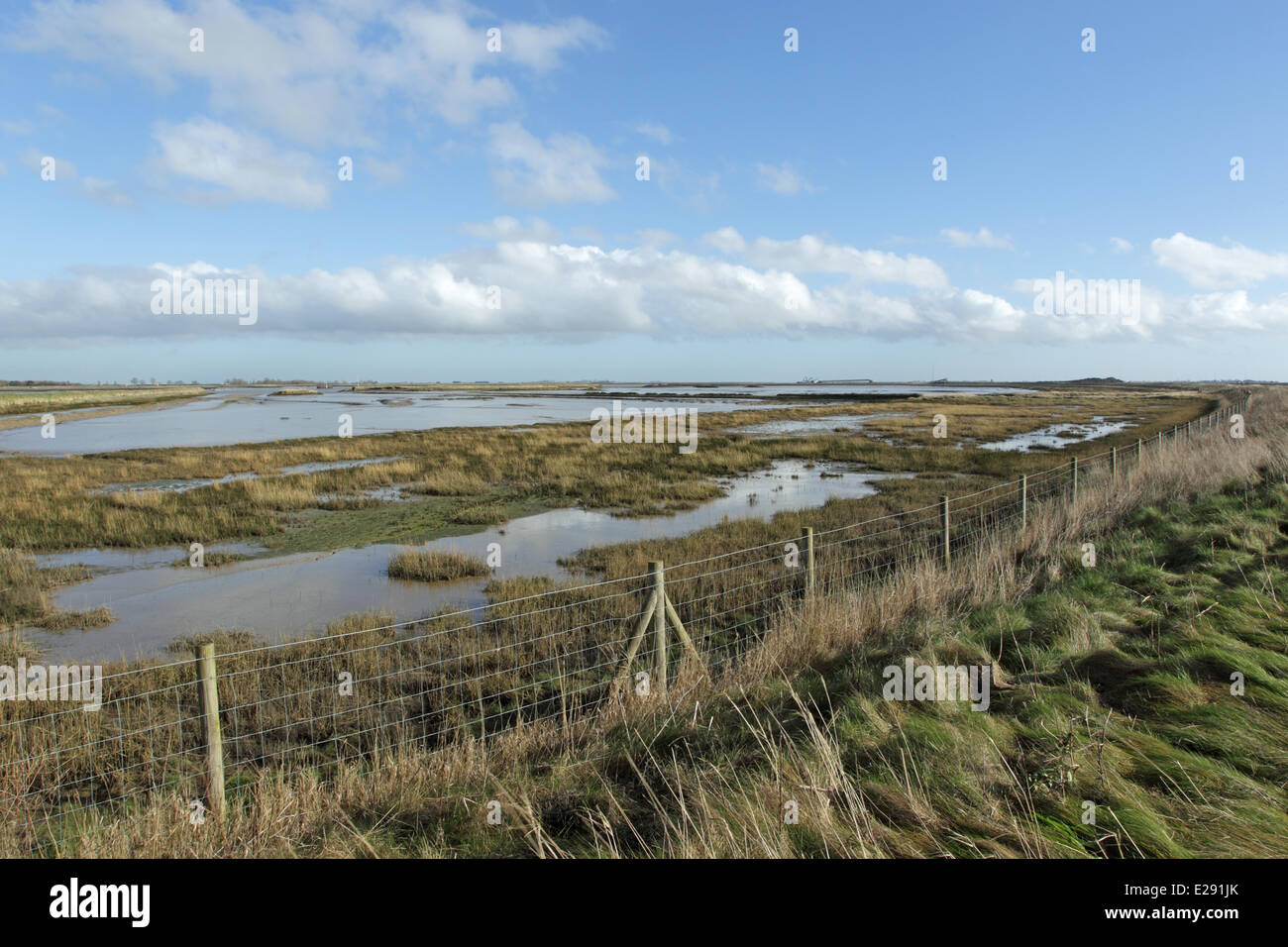 Over coastal marshland habitat hi-res stock photography and images - Alamy