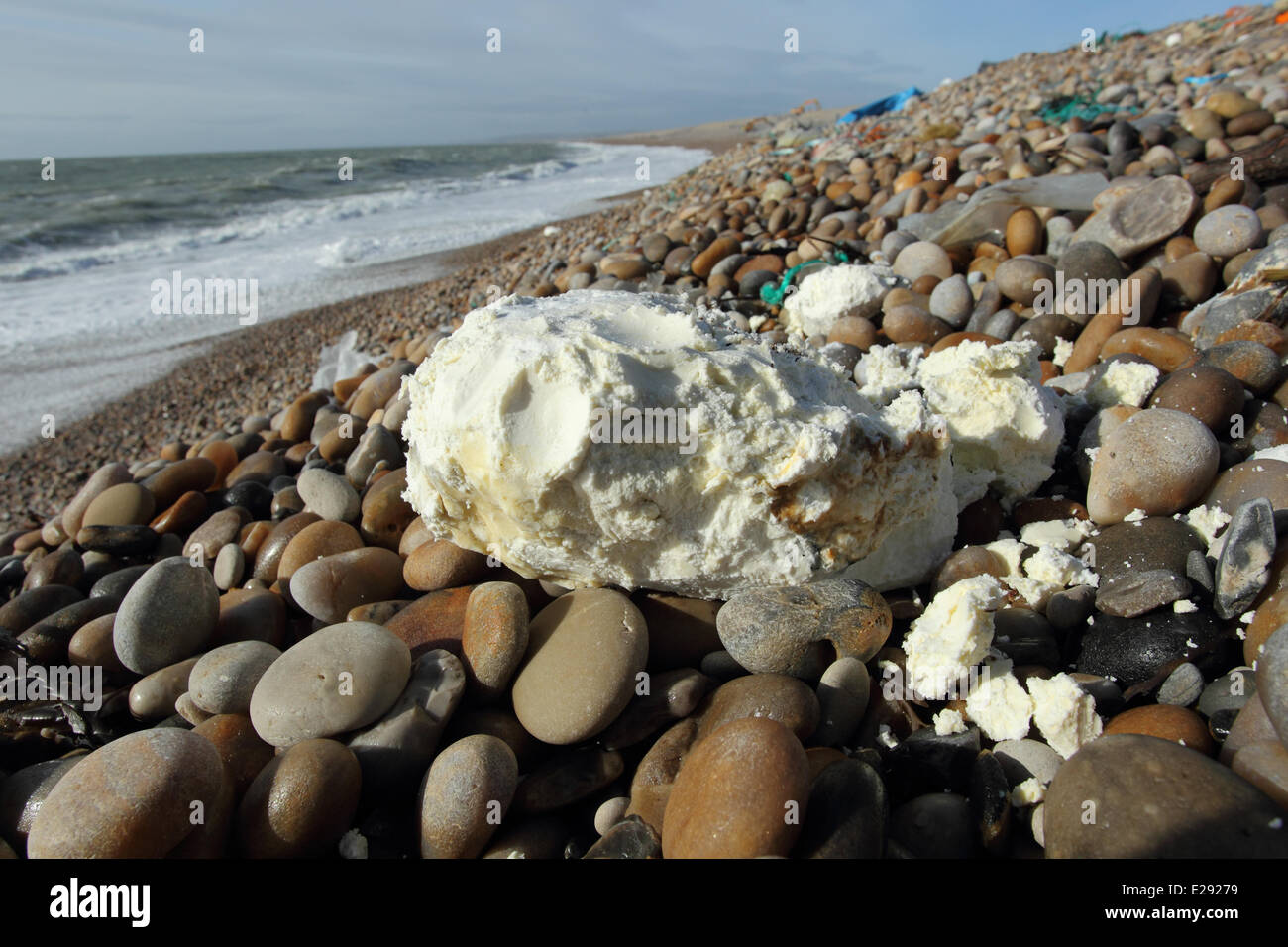 Oil polluted beaches hi-res stock photography and images - Alamy