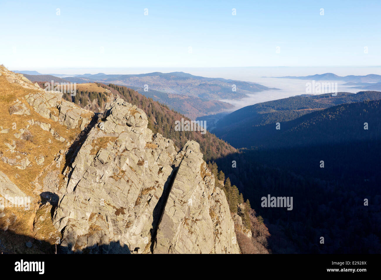 France, Haut Rhin, High Vosges Massif near Le Hohneck, peat bog at the ...