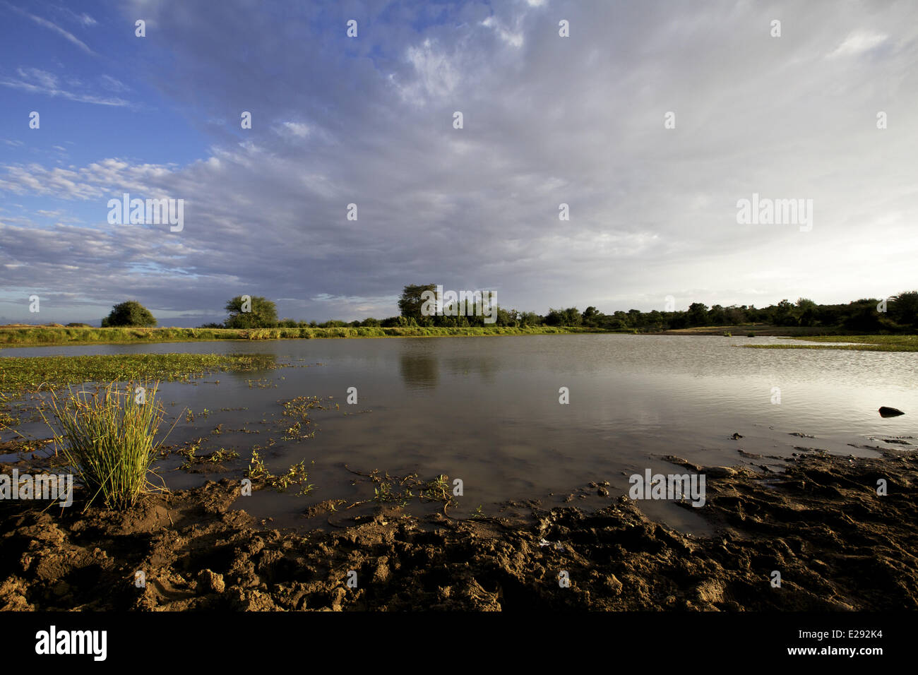 Mpala High Resolution Stock Photography and Images - Alamy