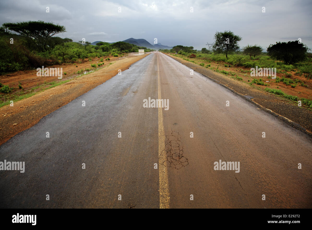 View of road through bush habitat after rainfall, with mountain range ...