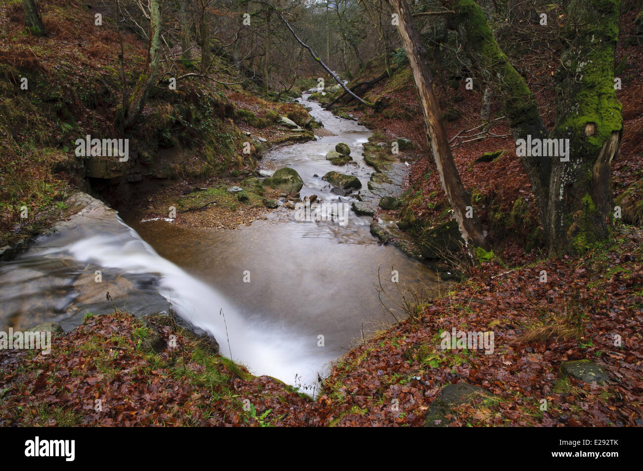 Waterfall and river in woodland habitat with fallen leaves, Blow Gill ...