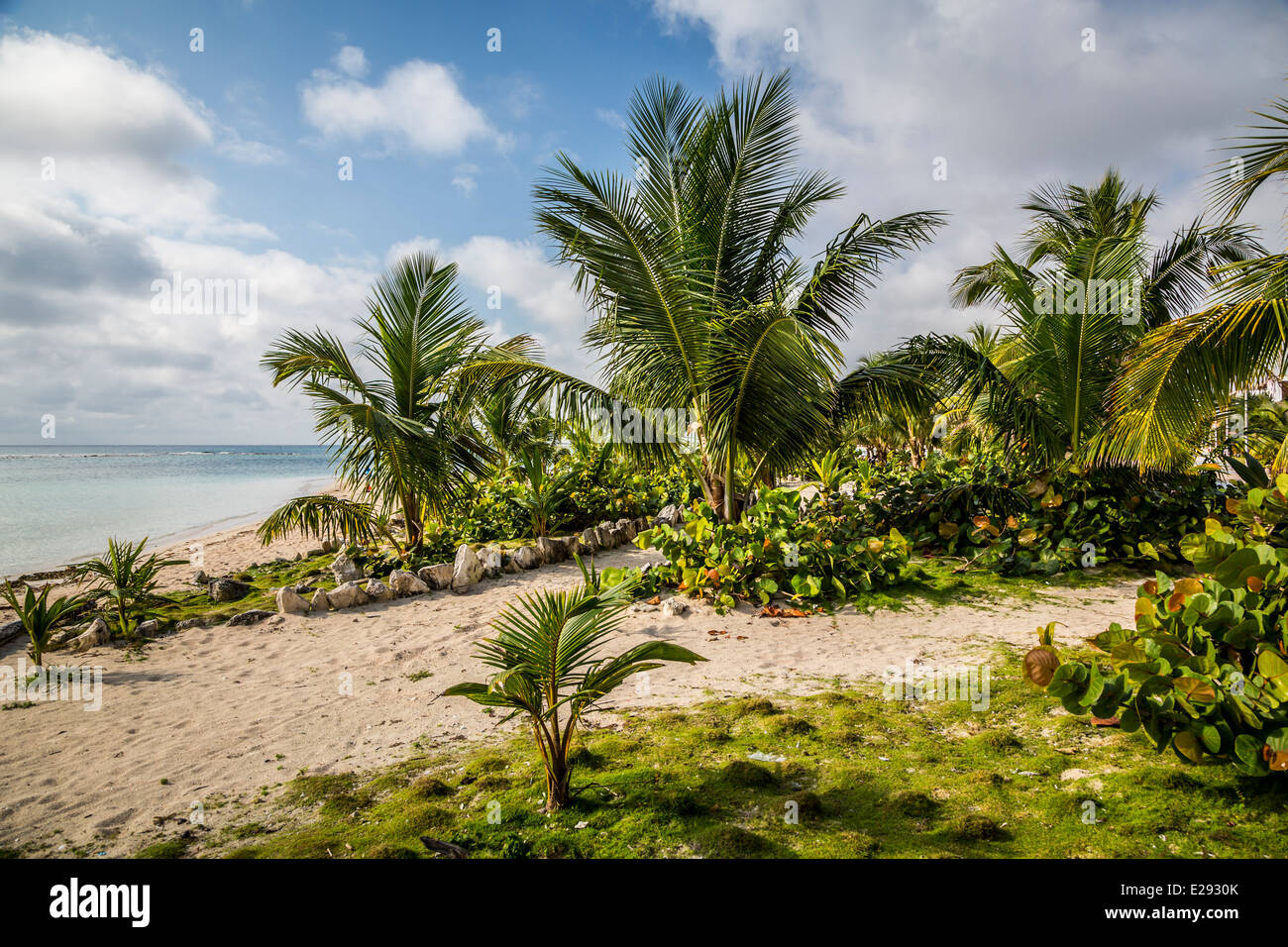 Seaside park with tropical vegetation in the village of Mahahual ...