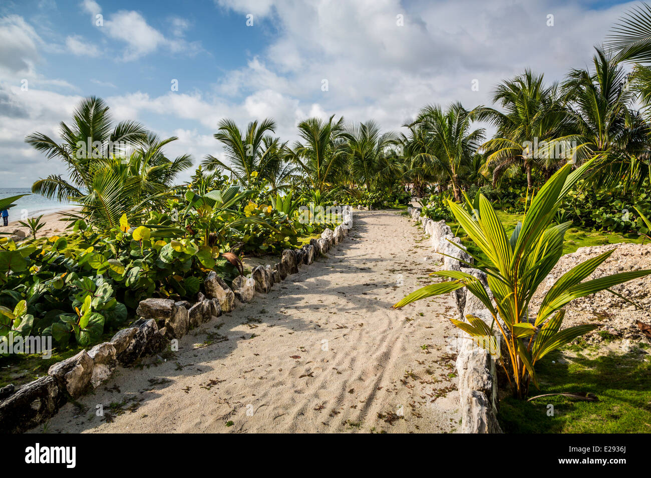 Seaside park with tropical vegetation in the village of Mahahual ...