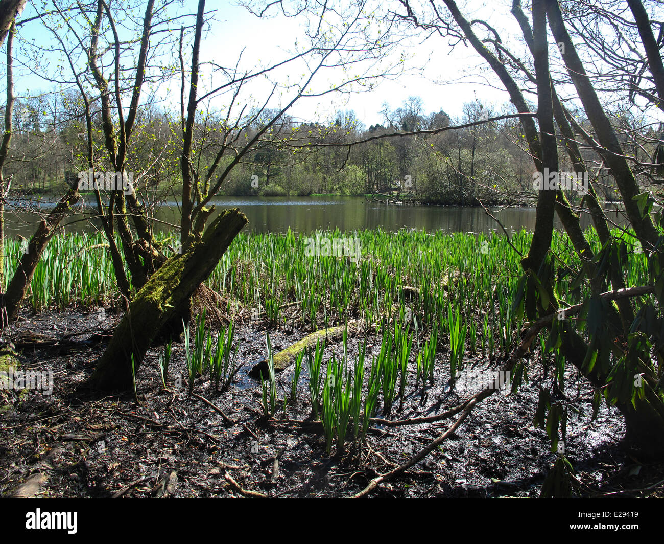 Bearsden loch hi-res stock photography and images - Alamy
