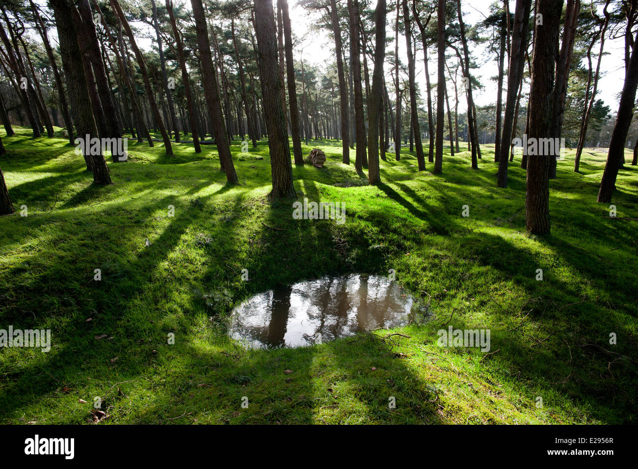 Shell craters hi-res stock photography and images - Alamy