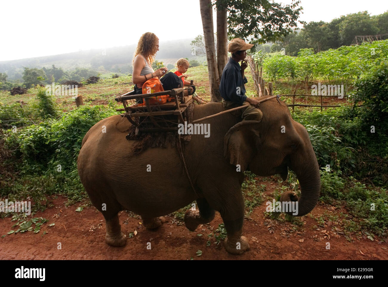 Elephant rides from village Kateung. Travel with children. Ratanakiri ...