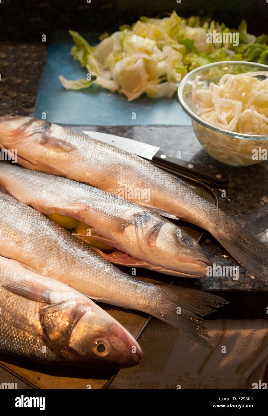 Sea bass fish hi-res stock photography and images - Alamy