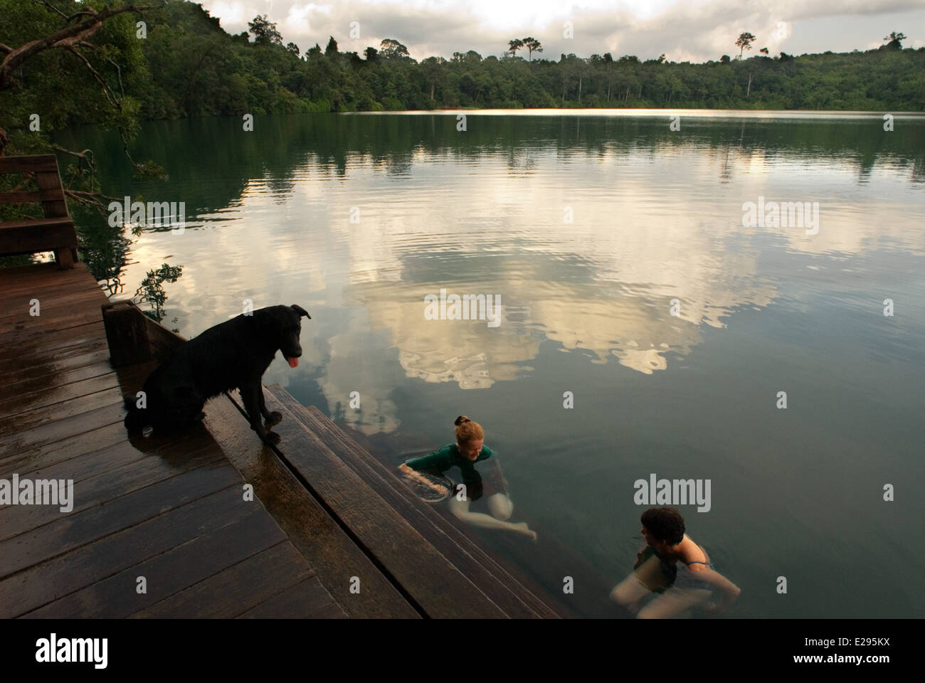 Yak carving hi-res stock photography and images - Alamy