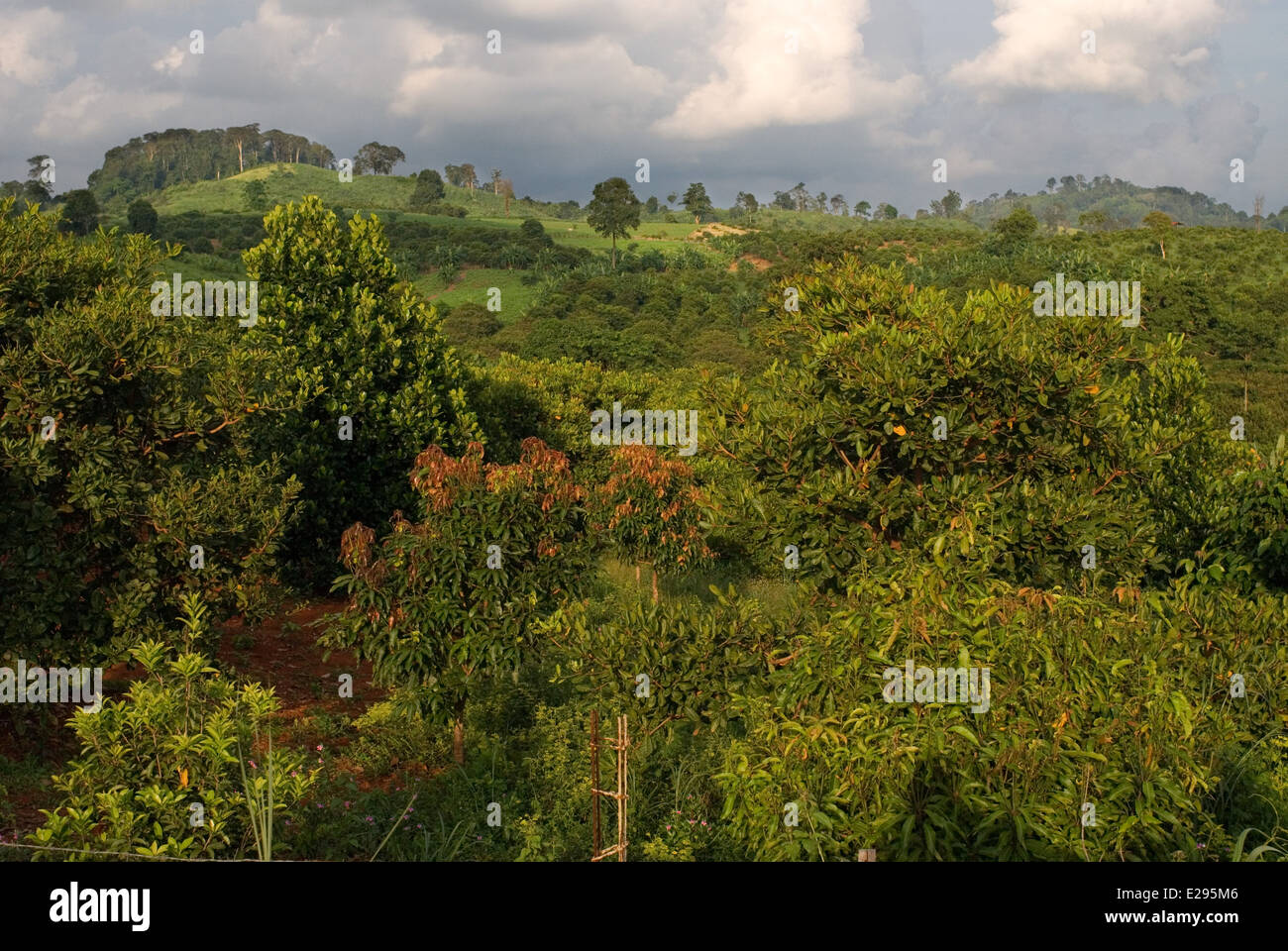 Yak Lom High Resolution Stock Photography and Images - Alamy