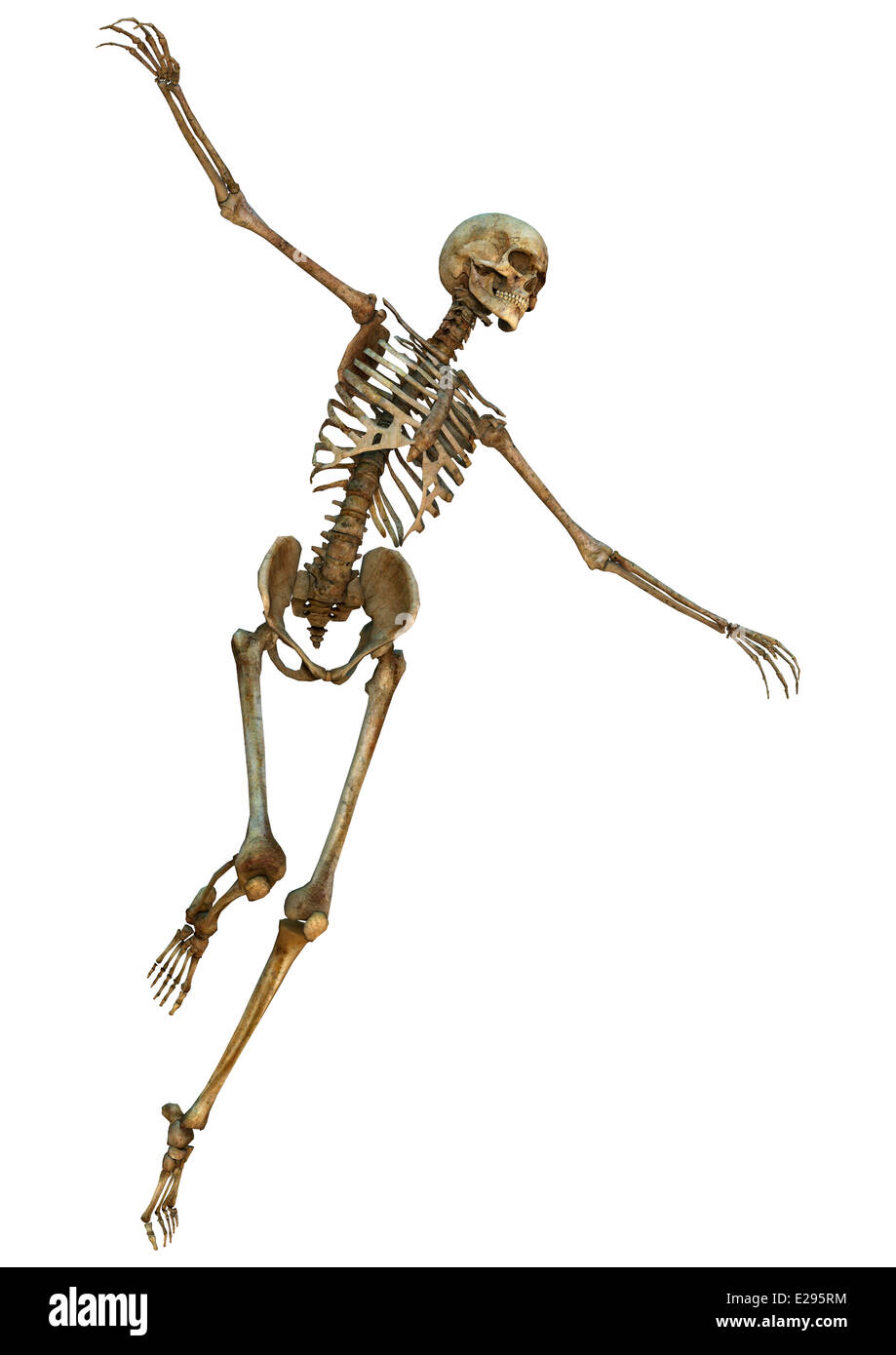 3D digital render of an old human skeleton isolated on white background ...