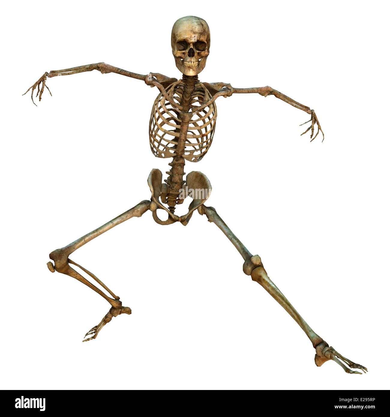 3D digital render of an old human skeleton isolated on white background ...