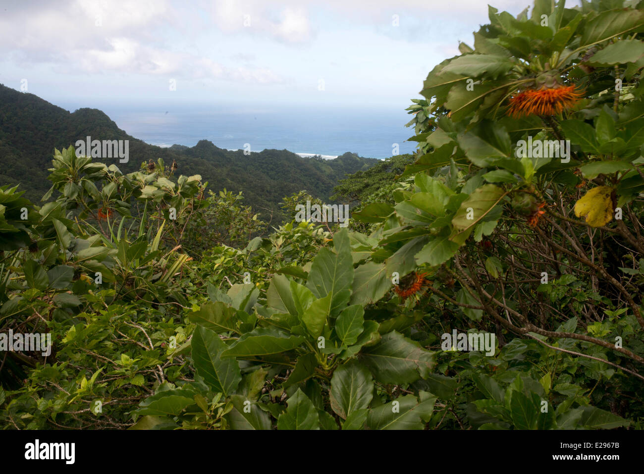 Special crossing meter hi-res stock photography and images - Alamy