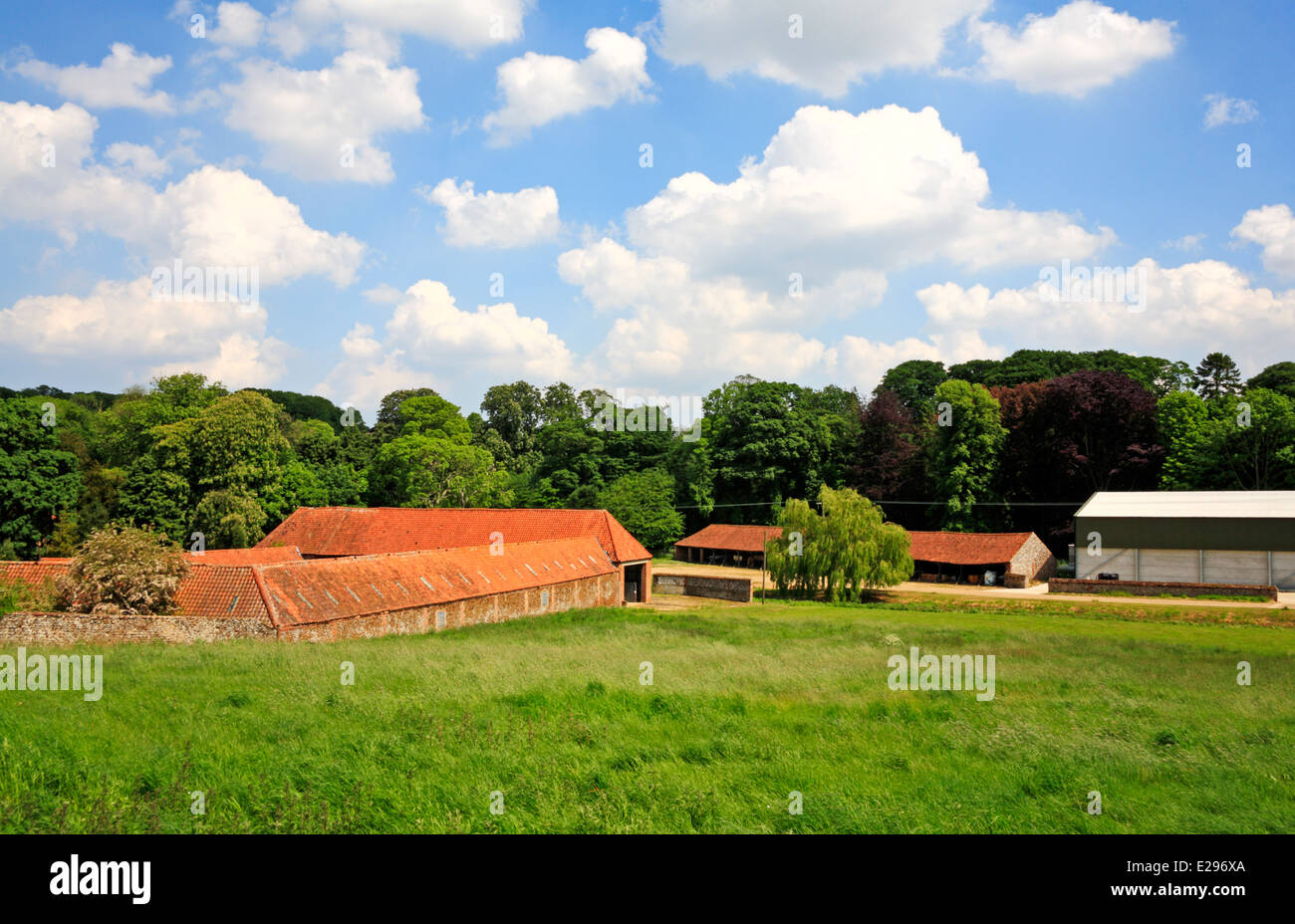 A view of a barn complex on a farm in the Norfolk countryside Stock ...