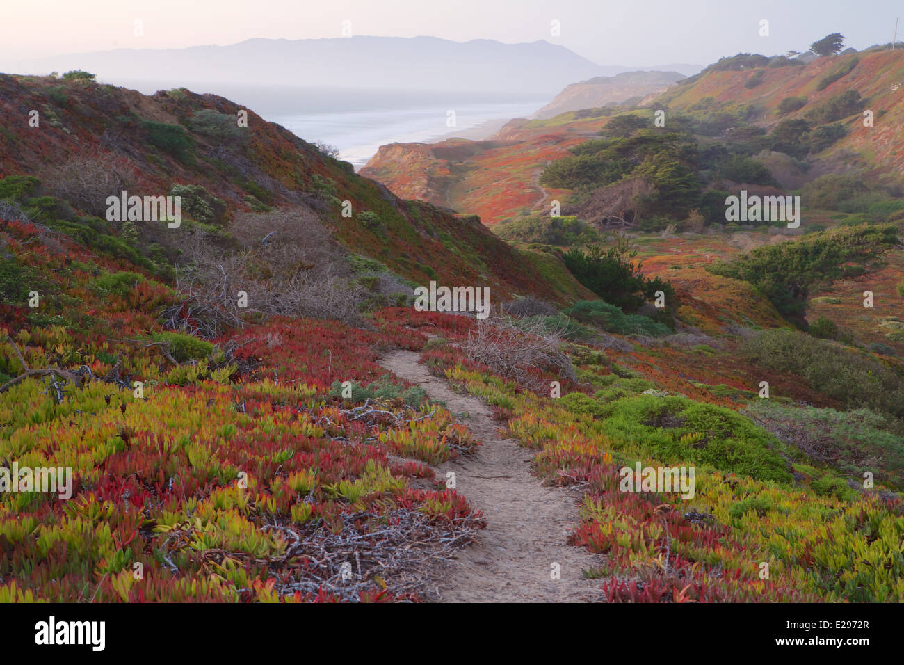 Fort funston hi-res stock photography and images - Alamy