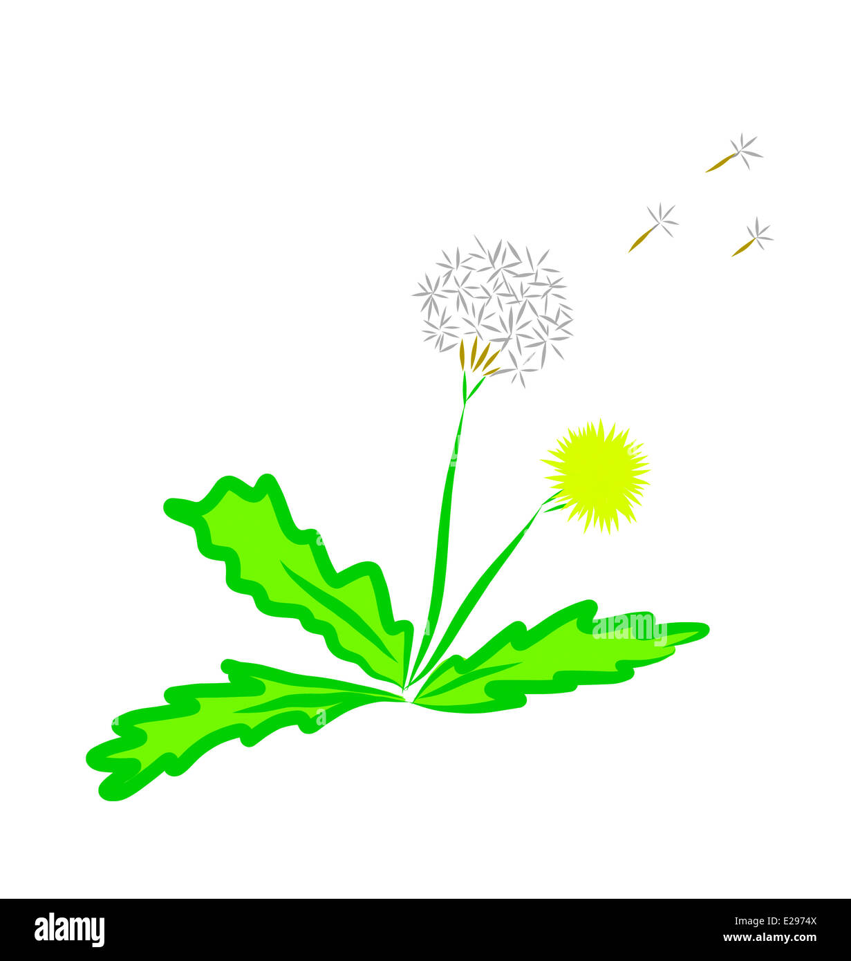 Dandelion illustration hi-res stock photography and images - Alamy