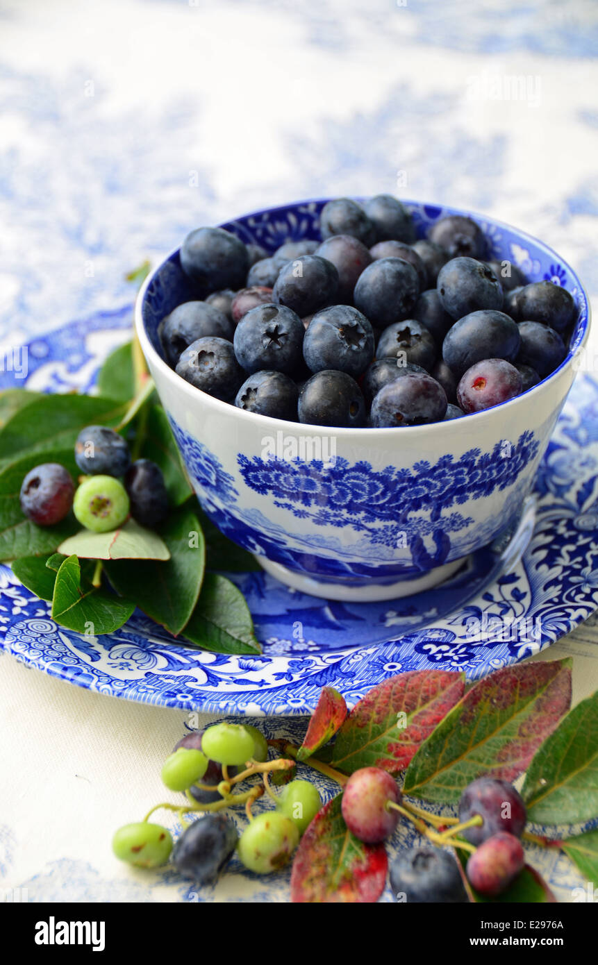 Fresh blueberries in a little bowl Stock Photo - Alamy