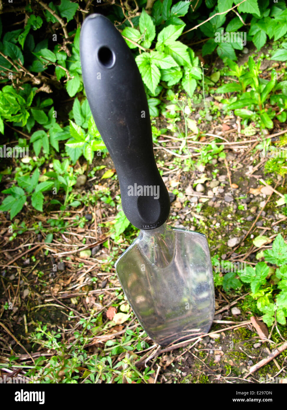 Stainless steel garden trowel stuck in earth Stock Photo - Alamy