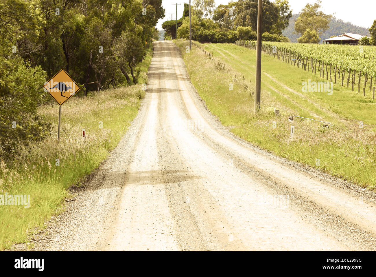 Beautiful Country Road Country Road Images Free Download On Freepik