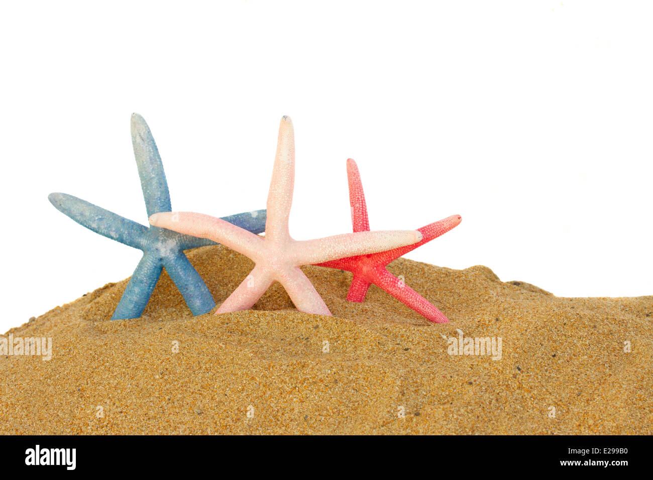 three starfish in sand Stock Photo - Alamy